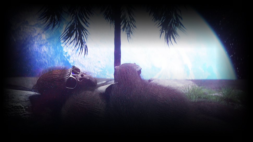 The Gorilla Experiment