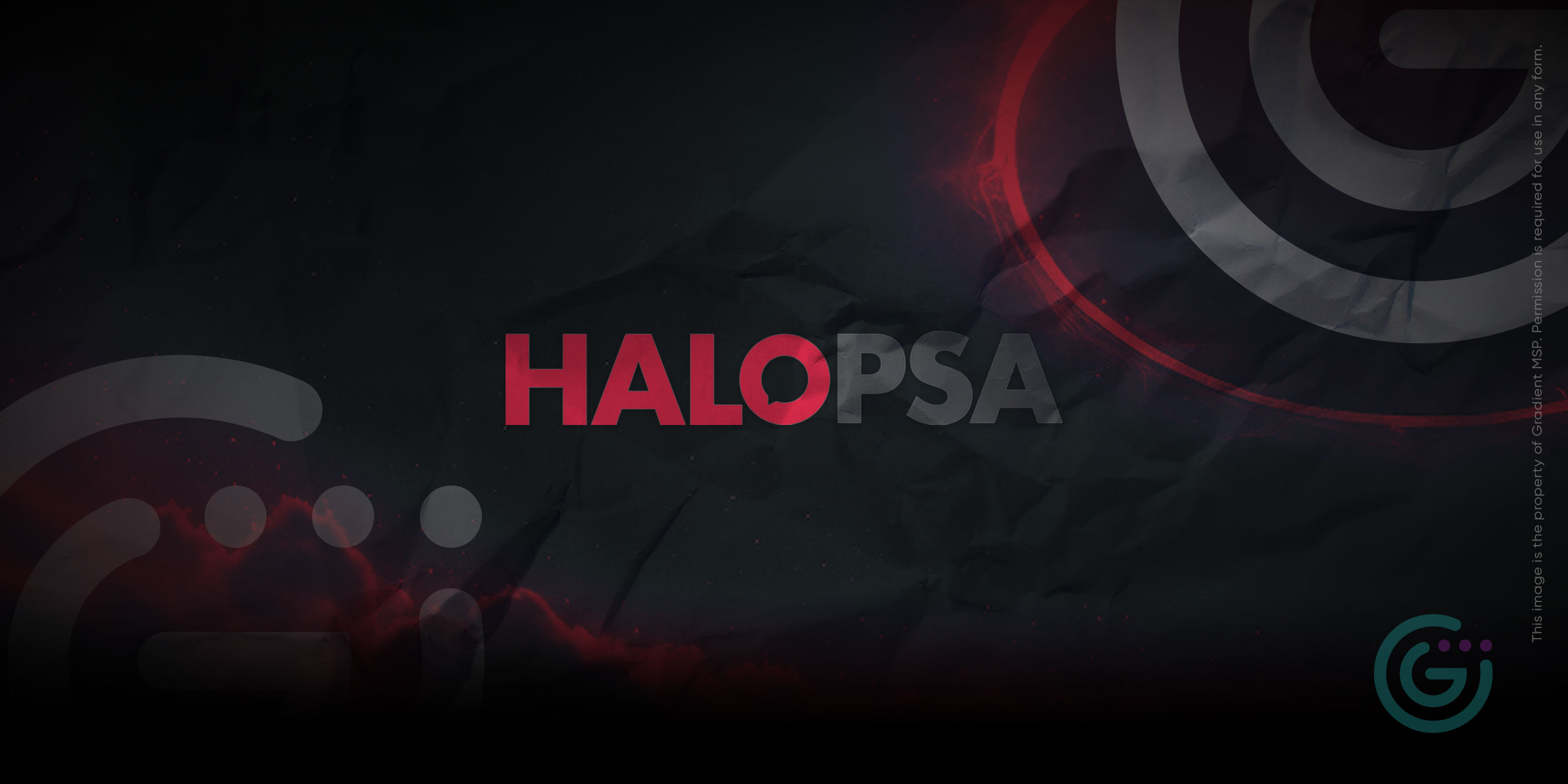 HaloPSA in Focus