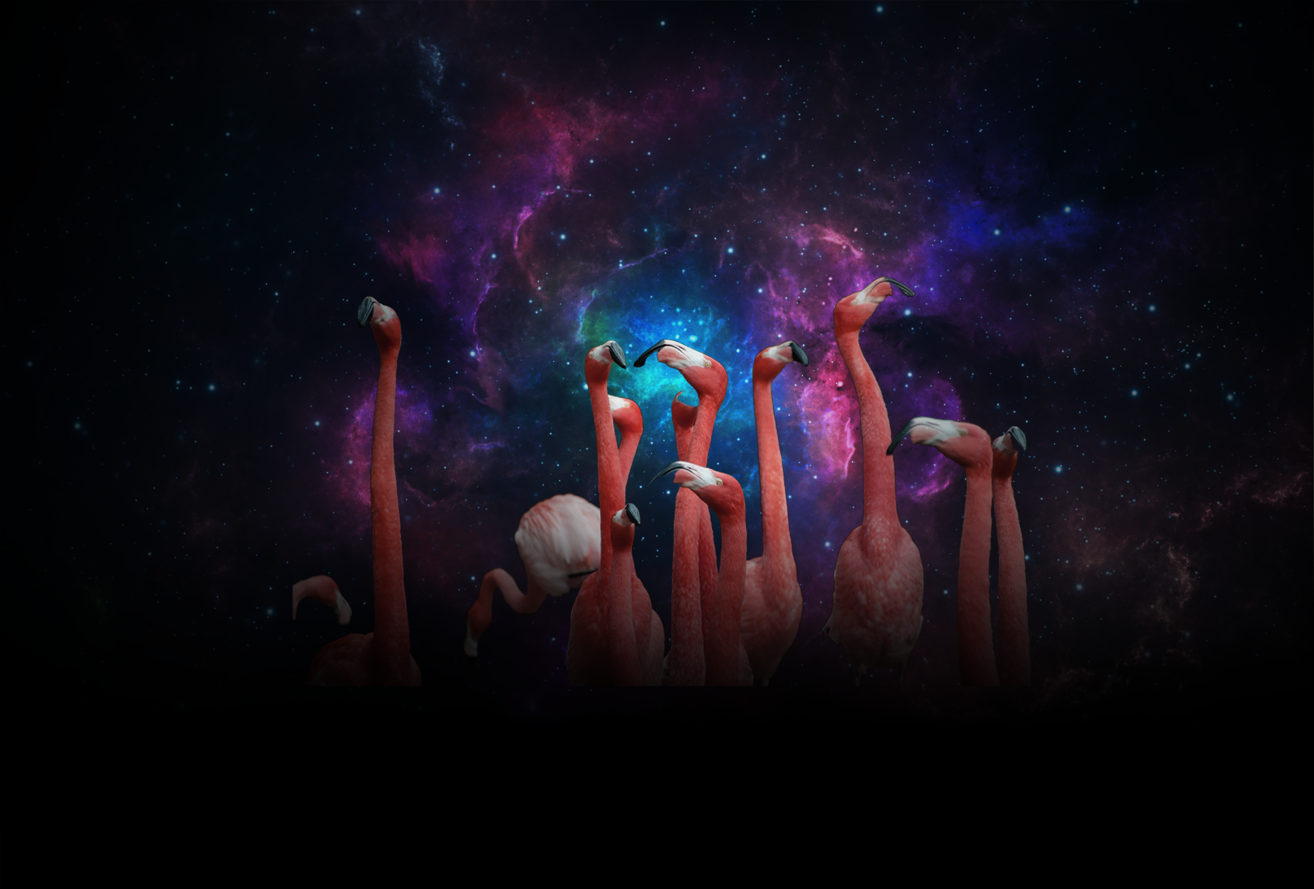 Introducing FlockTalk